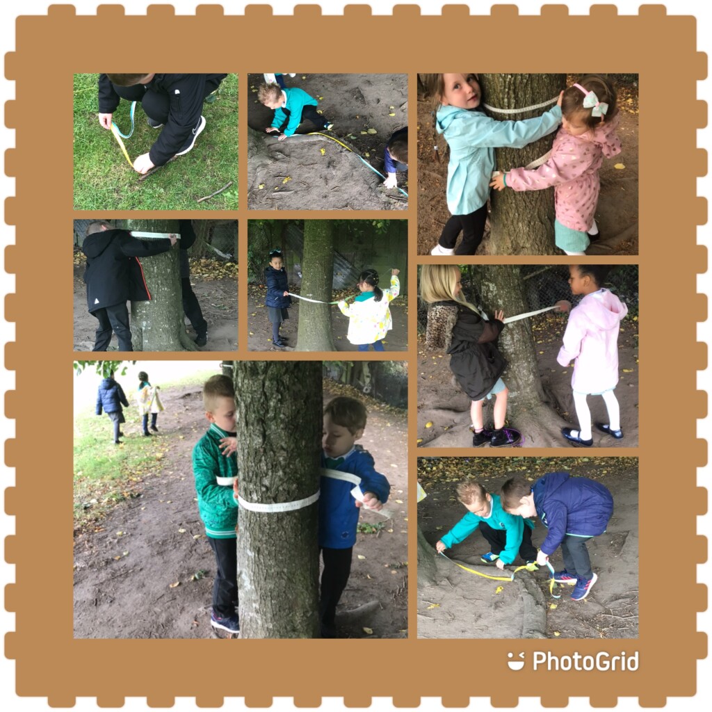 measuring & tree hugging – Riverbank School